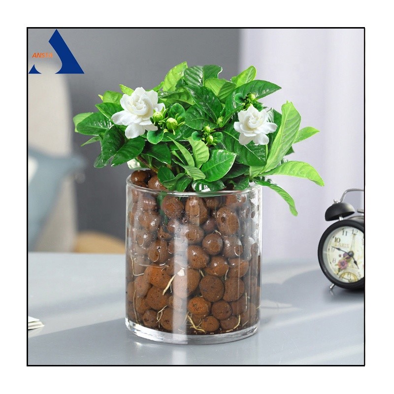 Lightweight LECA for Aquaponics Expanded Clay Balls for Hydroponics ...